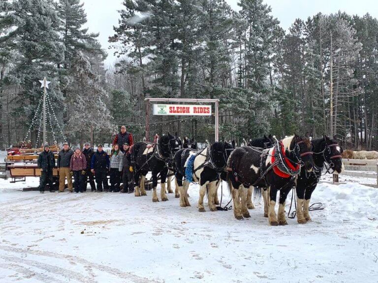 Horse-Drawn Sleigh Rides - Young's Golf, Recreation & Dining